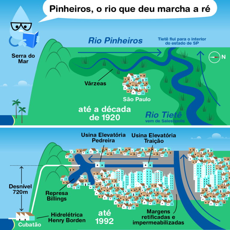 A marcha a ré do Rio Pinheiros – Ecolmeia | Sustentabilidade